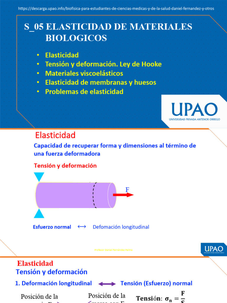 Elasticidad de Los Materiales Biologicos | PDF