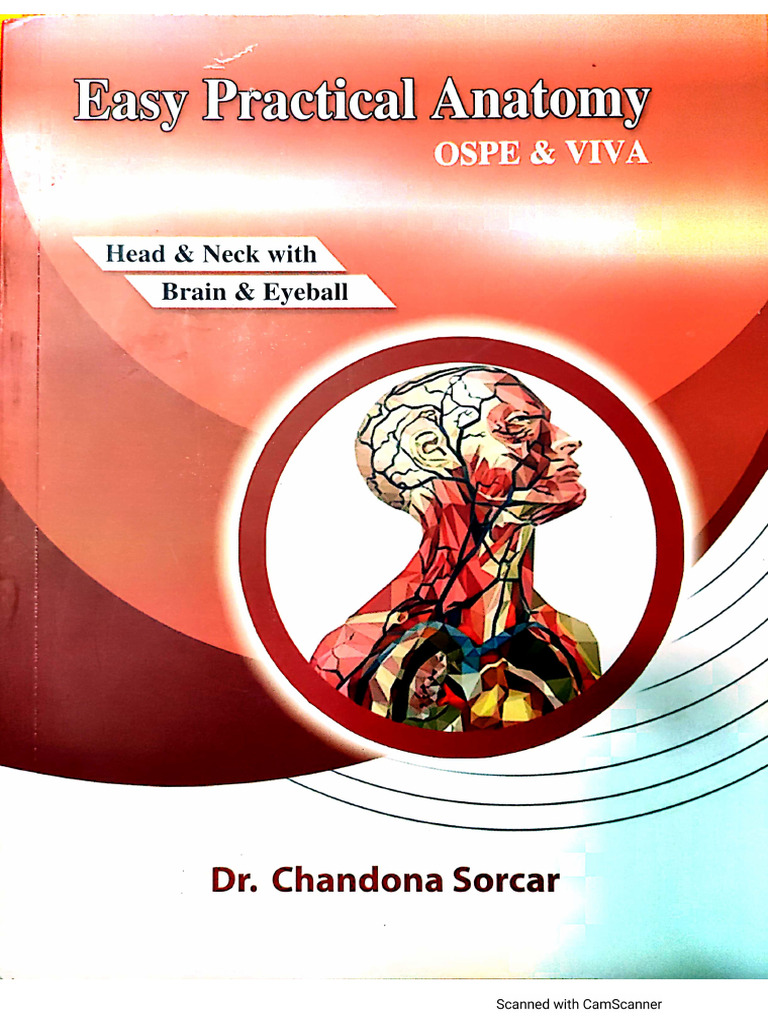Easy Practical Anatomy Head Neck & Brain Eyeball B 240818 020233 | PDF