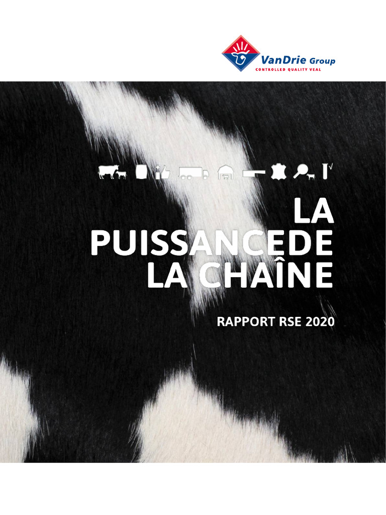 Rapport Rse 2020van Drie | PDF