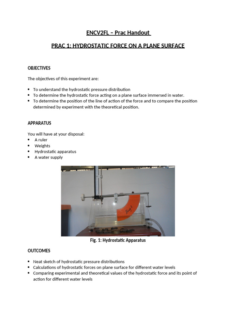 Pracs - Handout 2FL 2024 | PDF