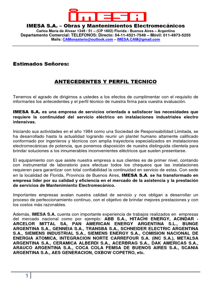 07- IMESA SA - ANTECEDENTES Y PERFIL TECNICO 07-2024-1 | PDF