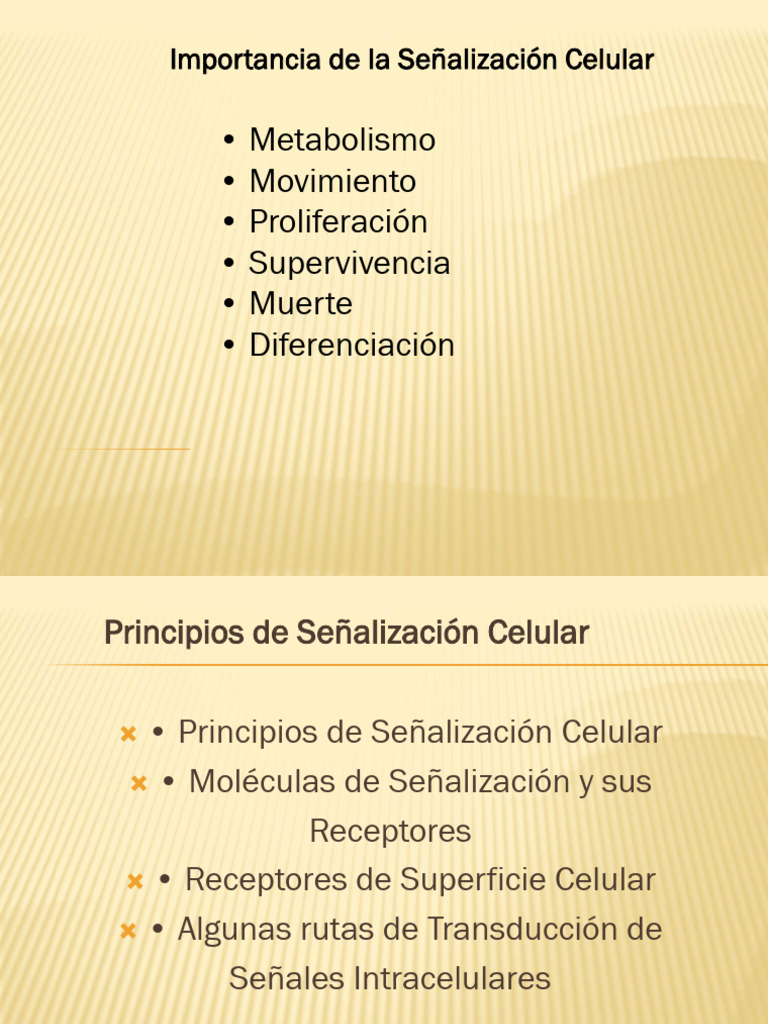 Senalizacion Celular Alexis 2 Pdf