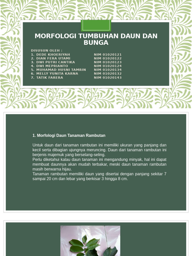 Morfologi Bunga | PDF