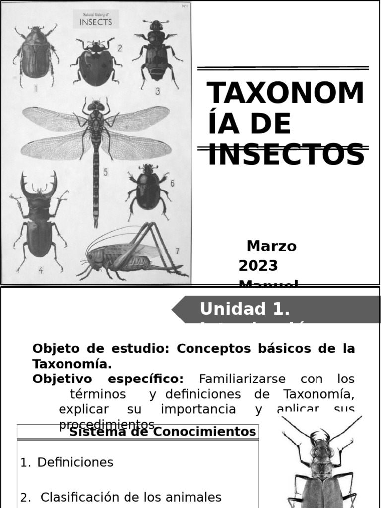 Introduccion Taxo | PDF