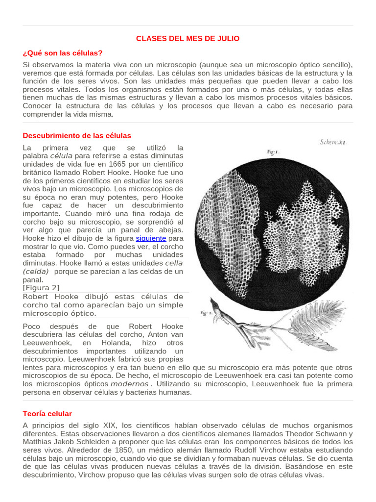 Clases Del Mes de Julio | PDF