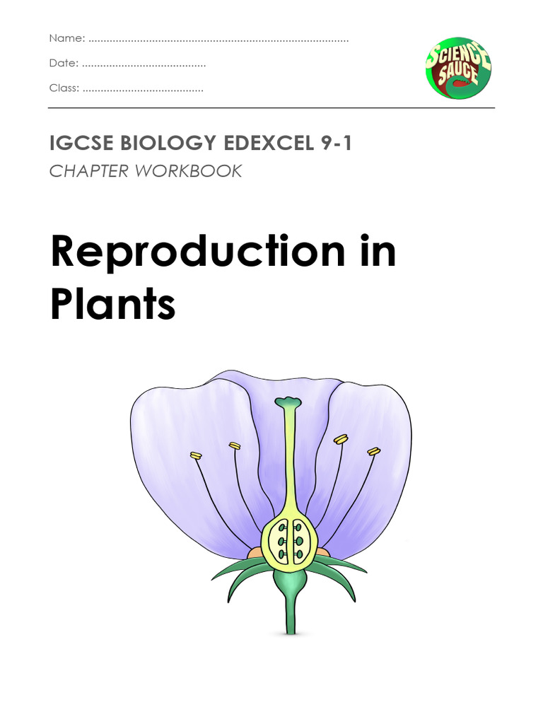 Reproduction in Plants | PDF