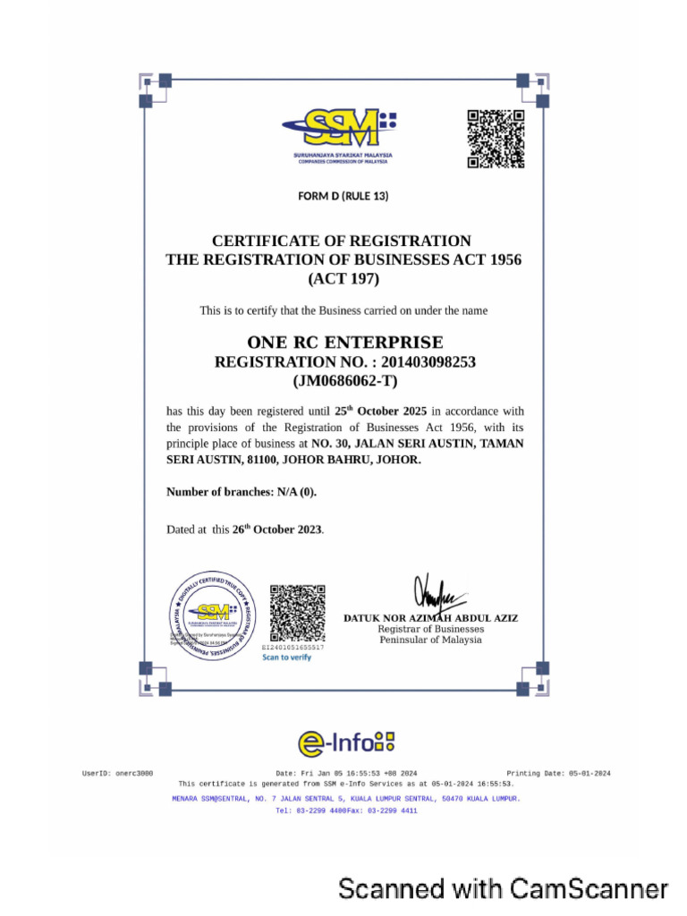 SSM Company 2025 | PDF