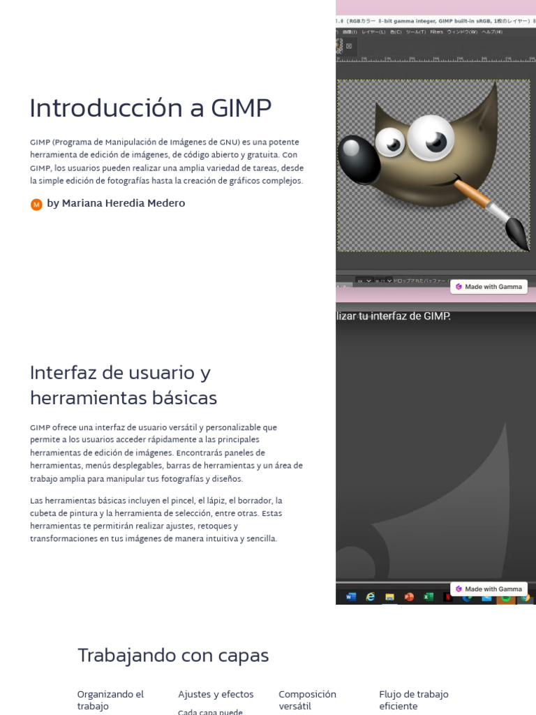 Tutorial Gimp | PDF