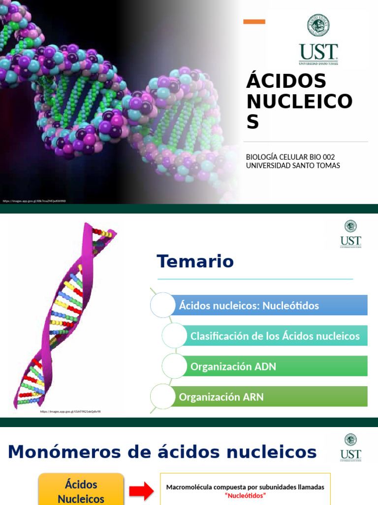 07 MoleÌ - Culas OrgaÌ - Nicas (AÌ - Cidos Nucleicos) | PDF