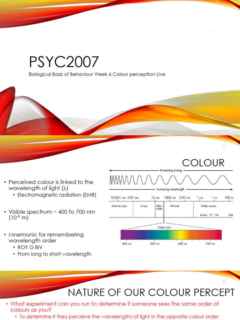 Week 6 Colour Perception | PDF