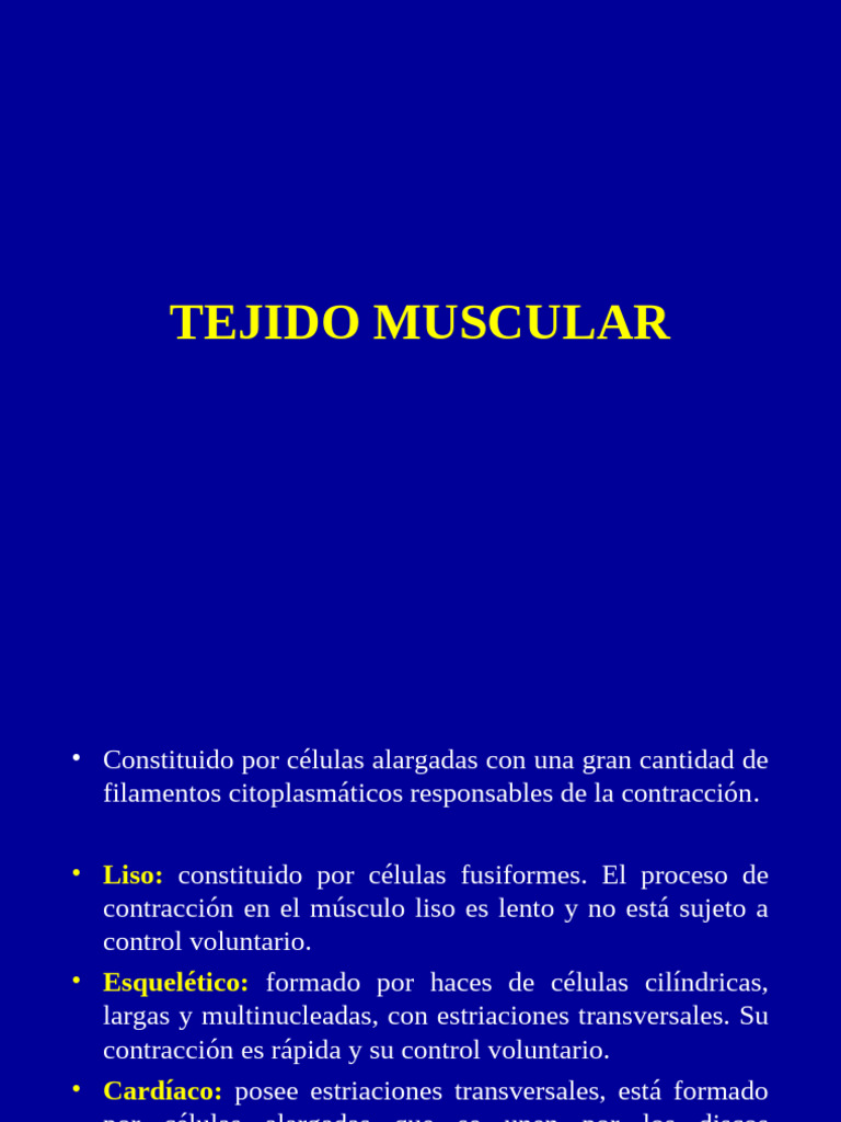 06 Tejido Muscular | PDF