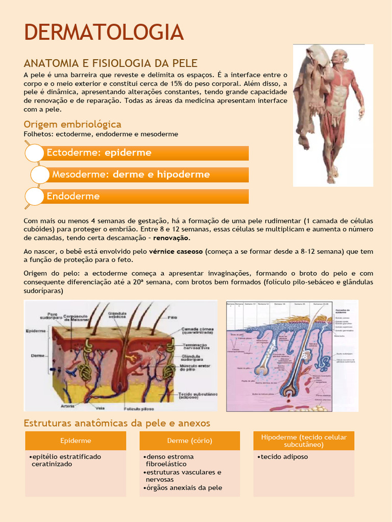 Caderno Anna 1a Prova | PDF