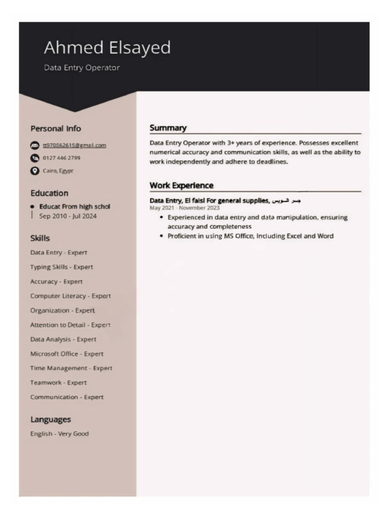 Data Entry CV | PDF