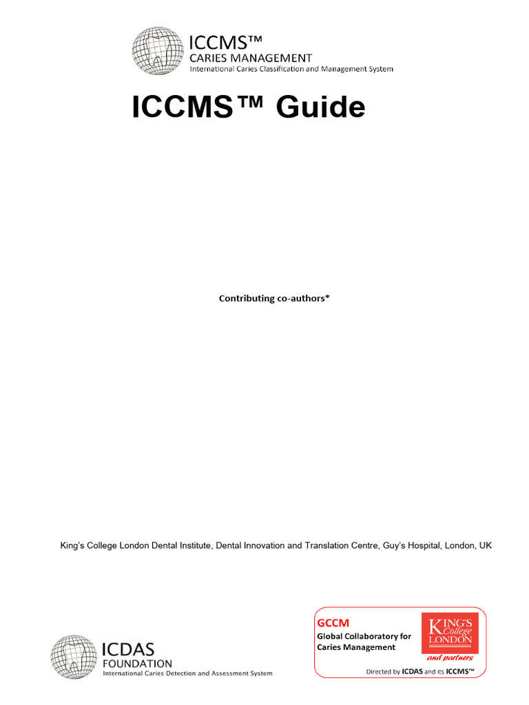 ICCMS System | PDF