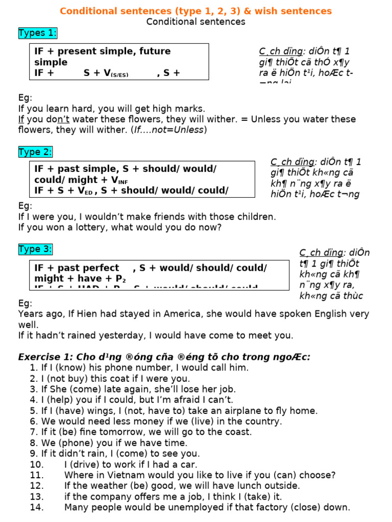 Conditional & Wish Sentences | PDF