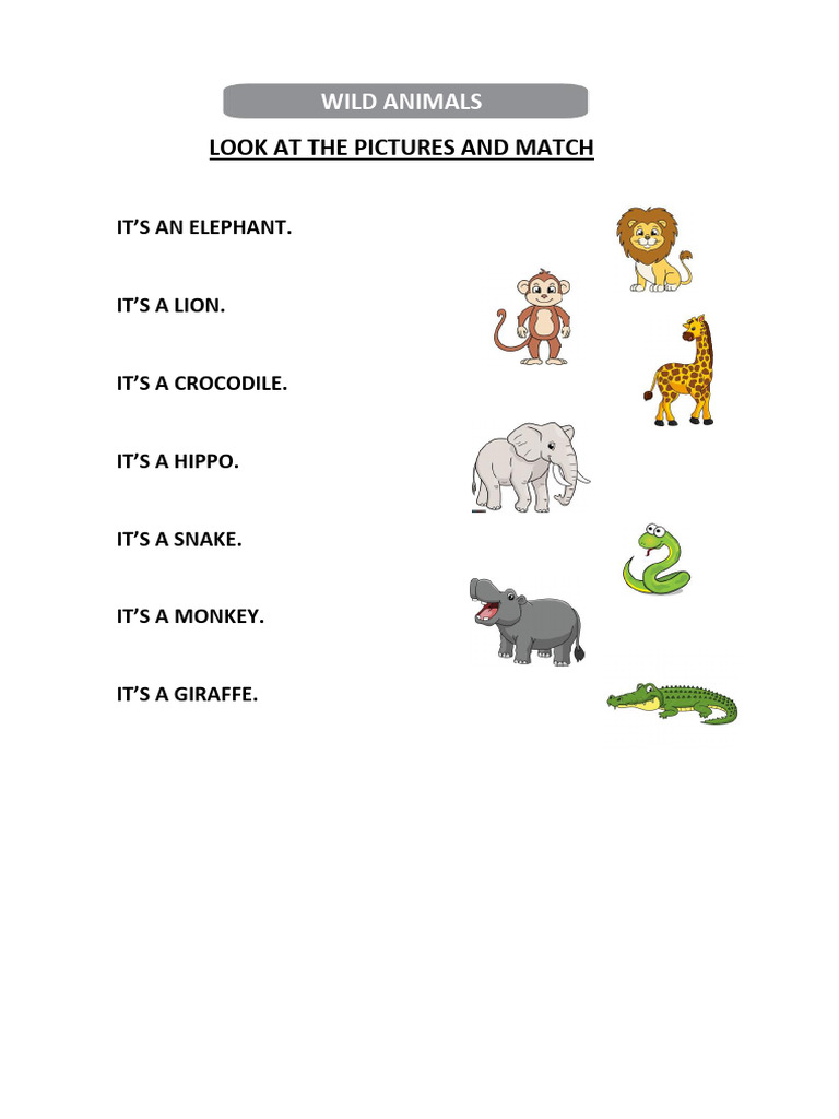 Look and Match | PDF