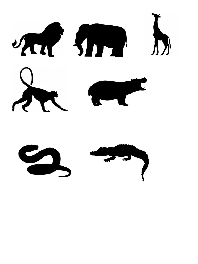 Animal Shadows | PDF