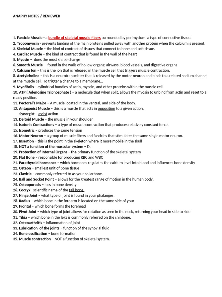 Anaphy Notes | PDF