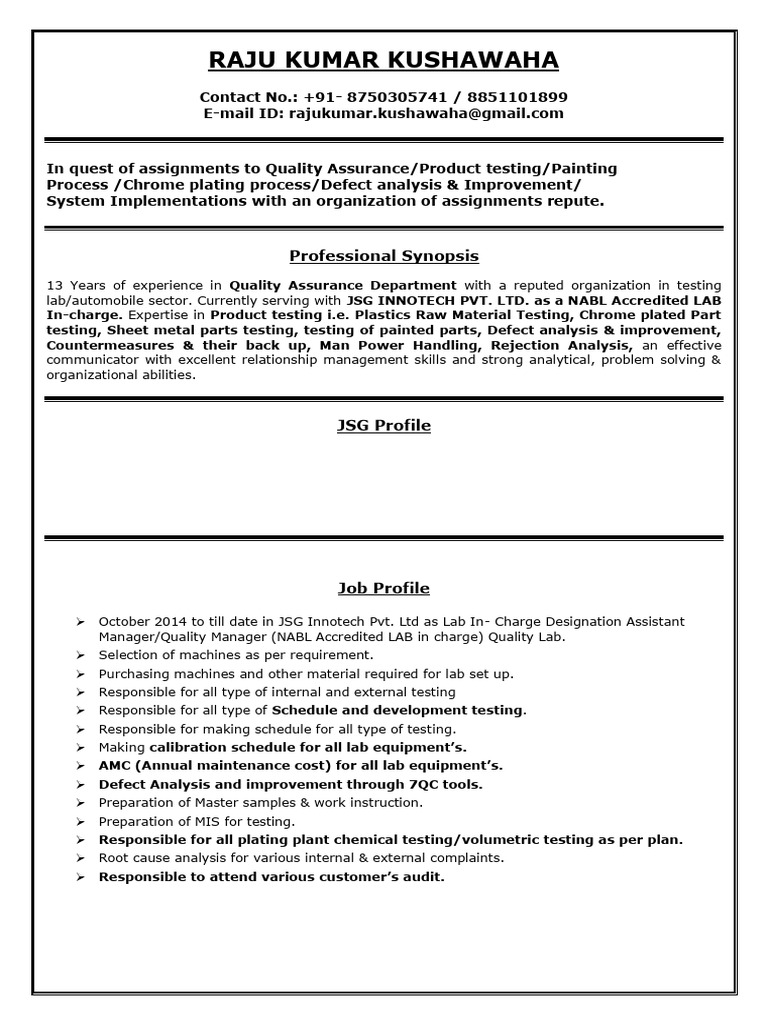Raju CV | PDF