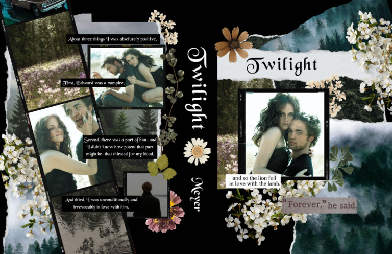 Twilight (17 X 11 In) | PDF