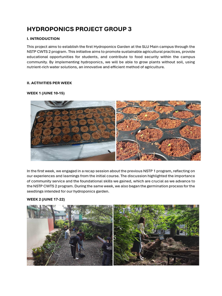 Hydroponics Project Group 3 | PDF | Hydroponics | Sustainable Agriculture