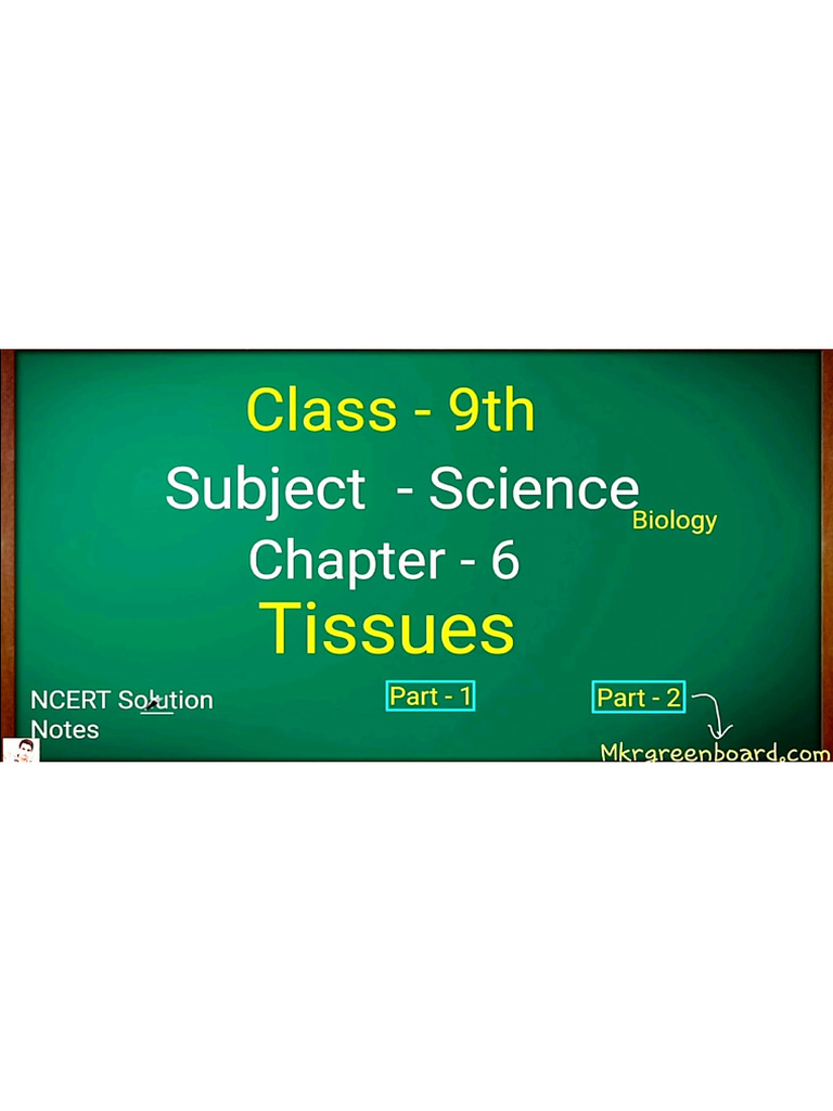 Class 9th Tissues | PDF