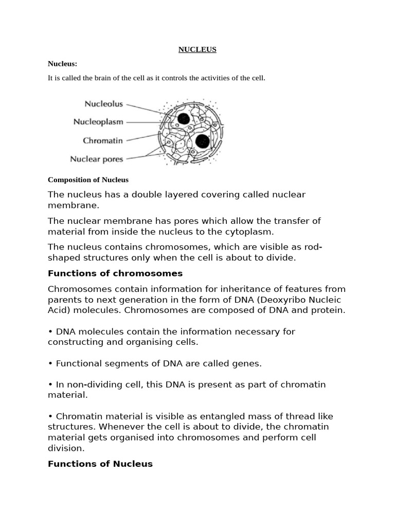 Nucleus and Remaining Notes | PDF