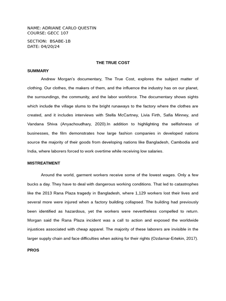 The True Cost | PDF