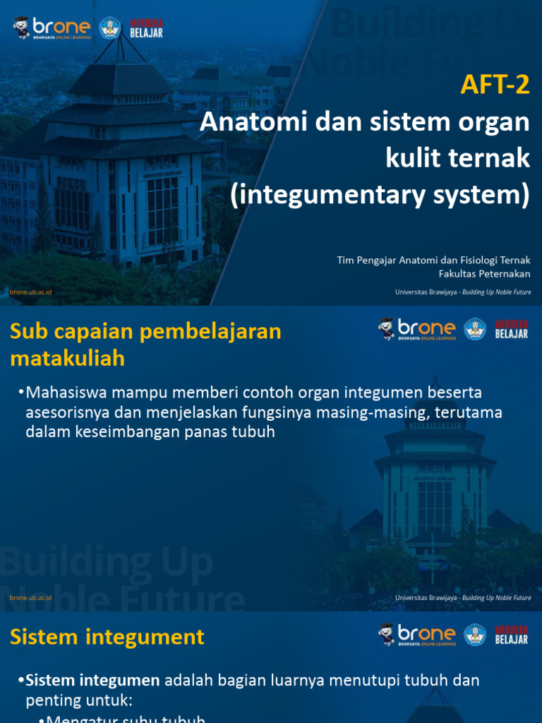 AFT-2 Sistem Integumen | PDF