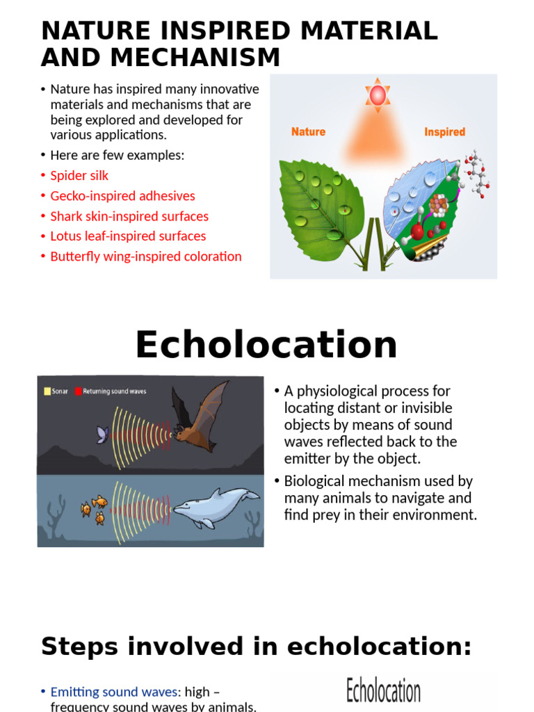 M-4 Nature Inspired Material and Mechanism | PDF | Sonar | Home & Garden