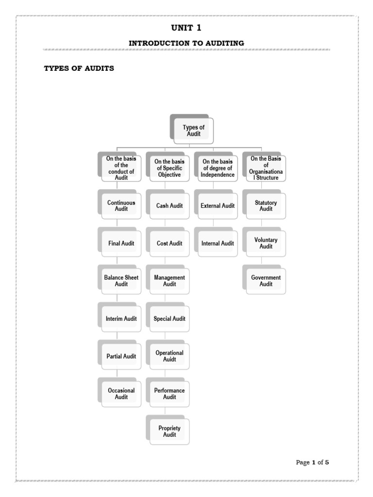 Unit 1 - Lecture 5 - Types of Audit | PDF