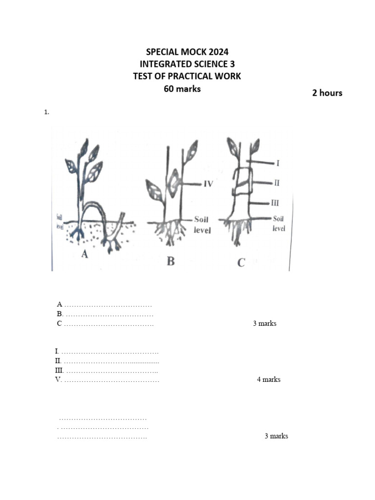 Special Mock 2024 Nana 2 EDITED | PDF