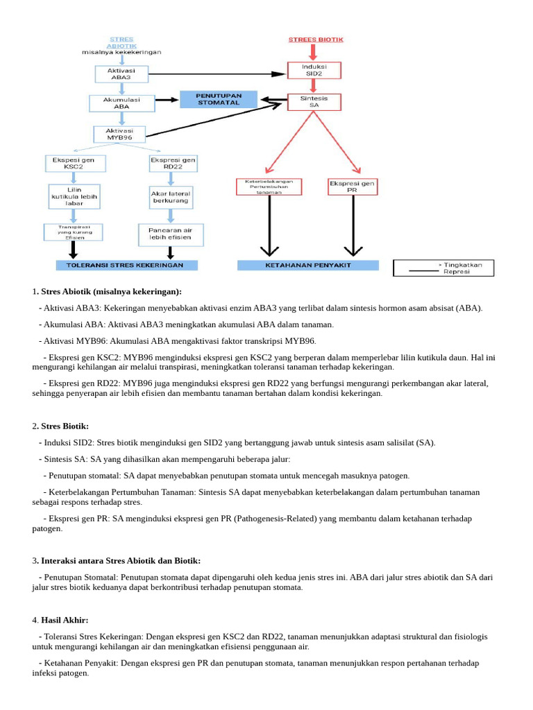 Asam Absisat | PDF