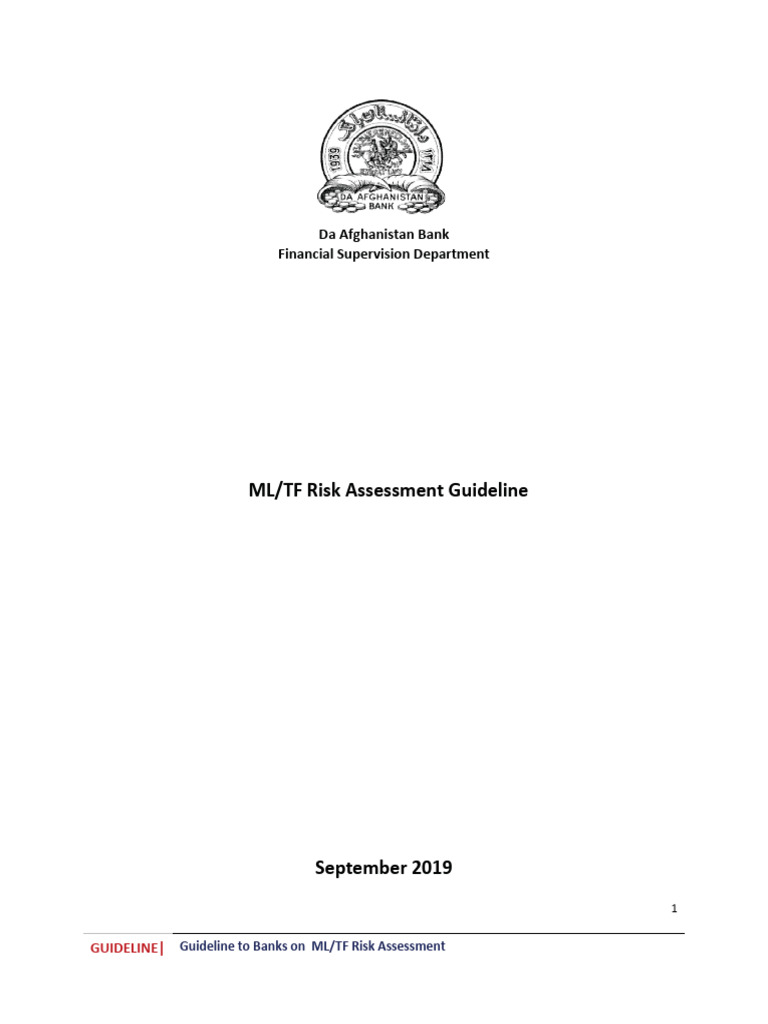 MLTF Risk Assessment Guideline Final - 0 | PDF