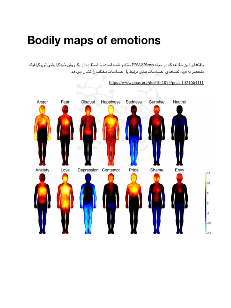 Bodily Maps of Emotions | PDF