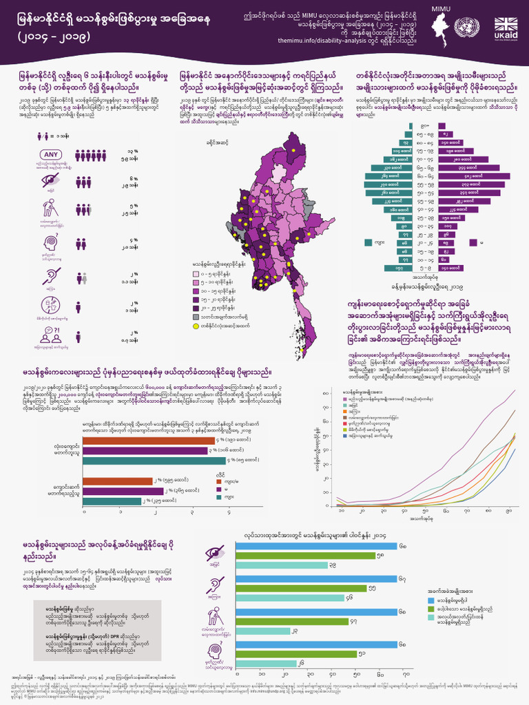 Infographic Analytical Brief Disability MIMU 09sep2021 MMR | PDF