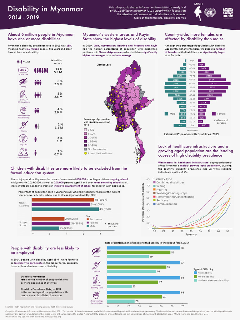 Infographic Analytical Brief Disability MIMU 18aug2021 ENG | PDF