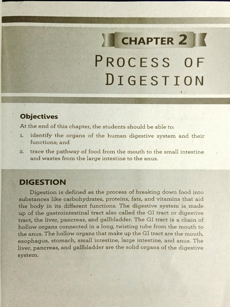 1. Process of Digestion | PDF