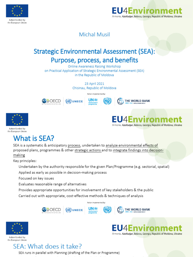 MR Musil - SEA Purpose, Process, and Benefits - ENG | PDF