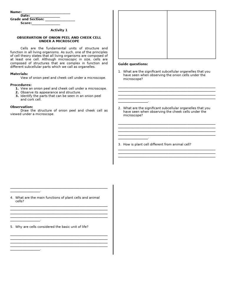 Lab Work 1 | PDF Lab Work 1 | PDF