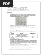 Nano Glo Hibit Lytic Detection System Technical Manual | PDF | Proteins ...