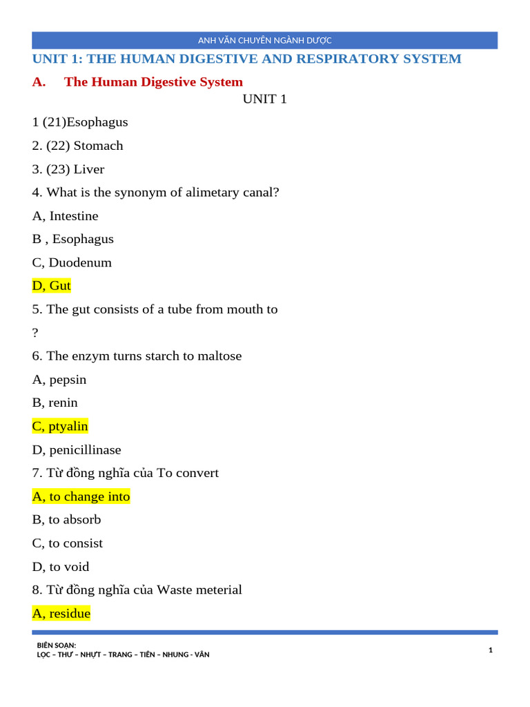 Đê Cương Avcn | PDF