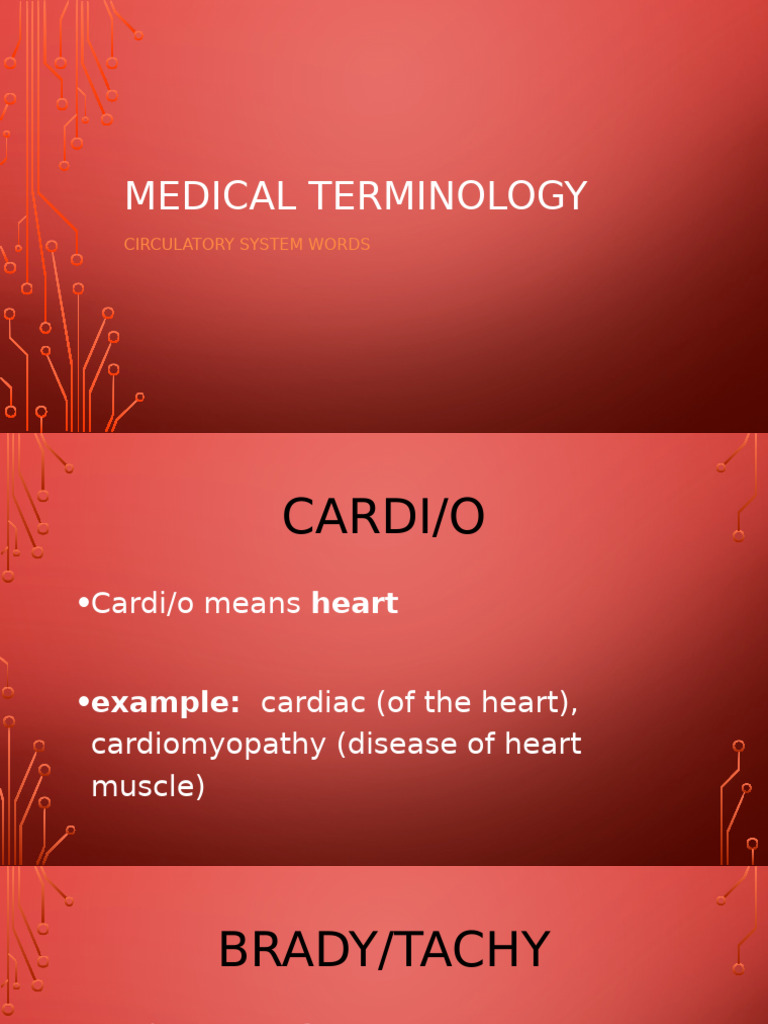 Week 3 - Circulatory System Words | PDF