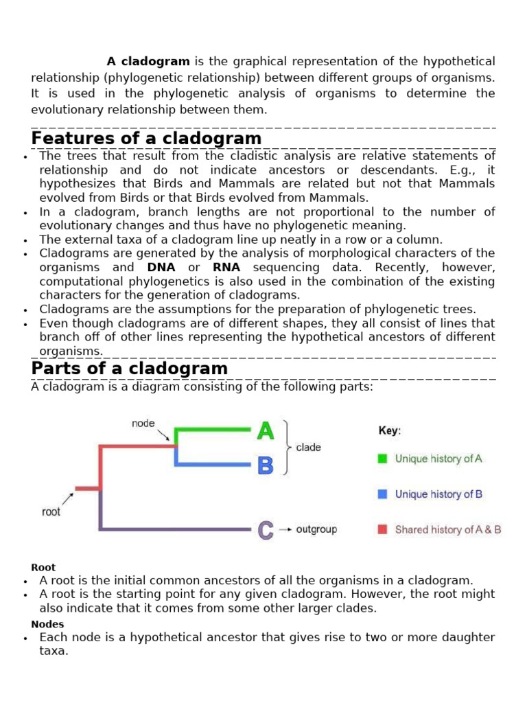 A Cladogram | PDF