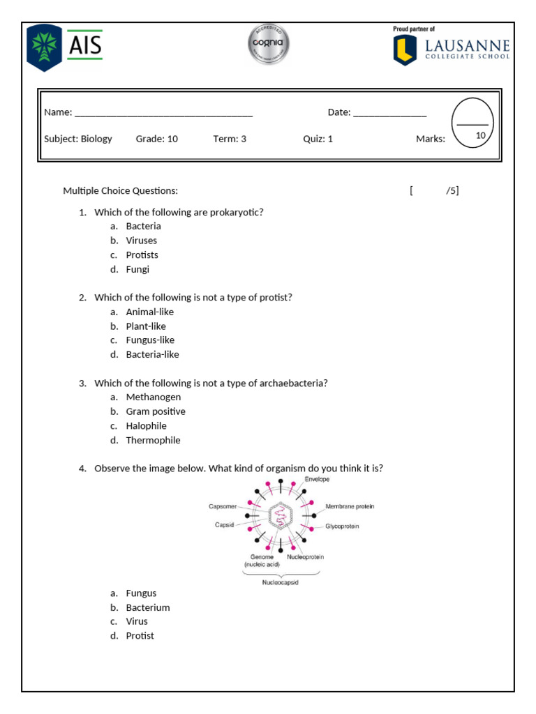 Quiz 1 Bio T3 | PDF