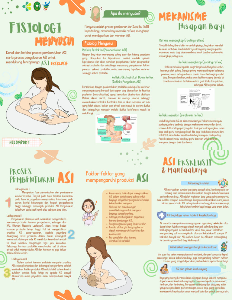 Leaflet Kel 1 Fisiologi Menyusui | PDF