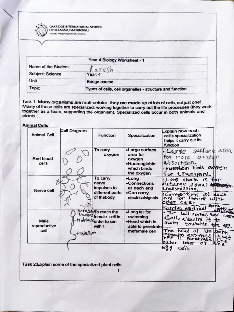 Biology Assessment | PDF