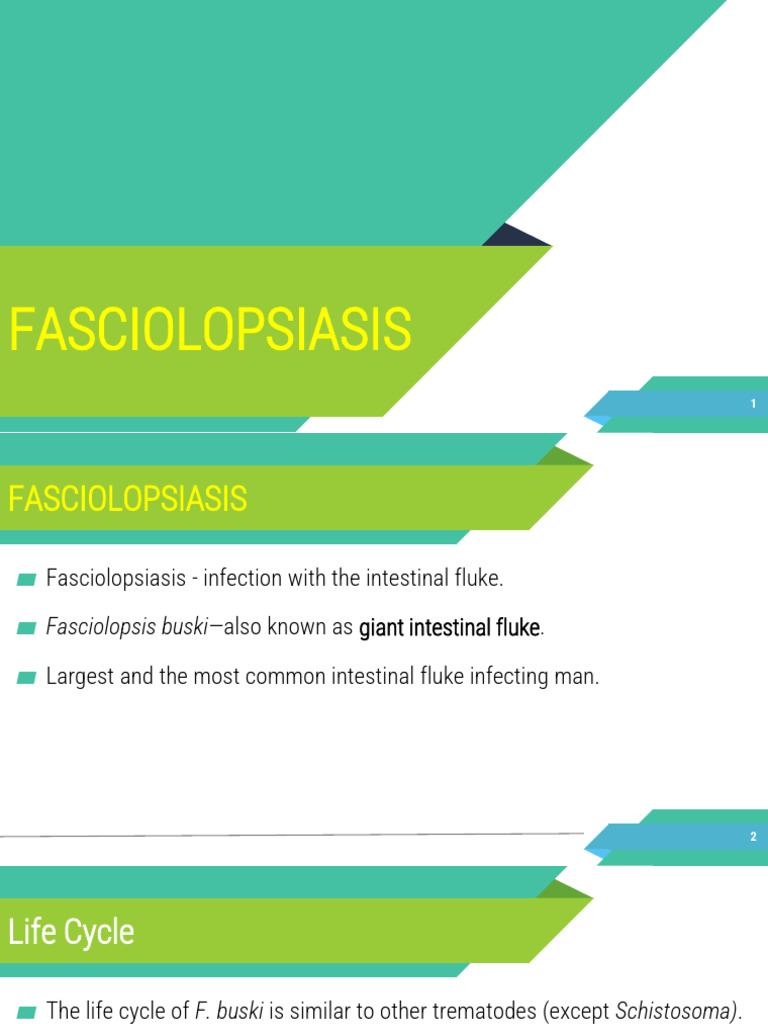 Helminthic Infections Part 2 | PDF