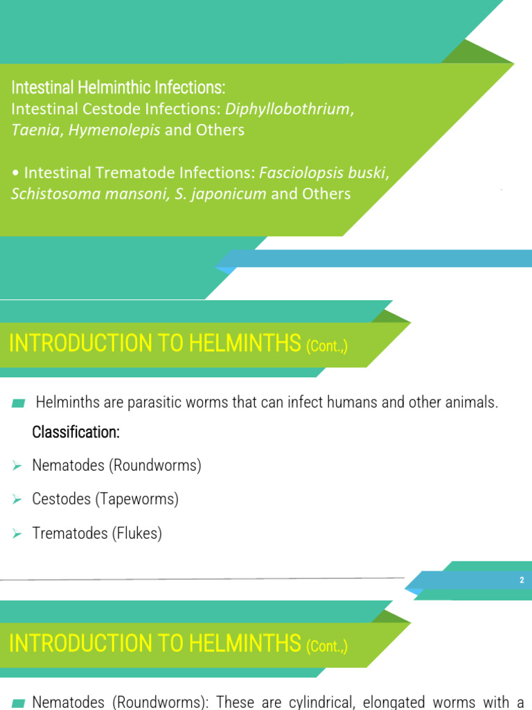 Helminthic Infections Part 1 | PDF
