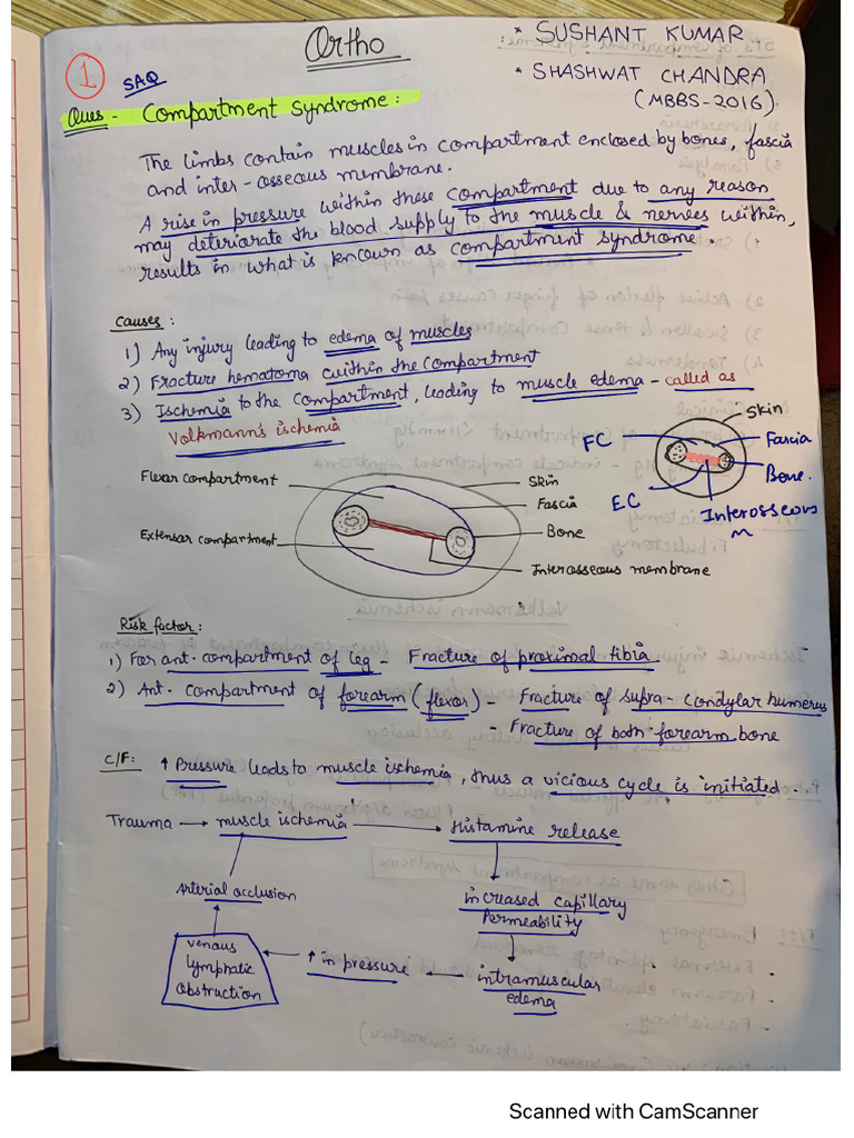 ORTHO (Modified) PROFF IMPORTANT QUESTION | PDF